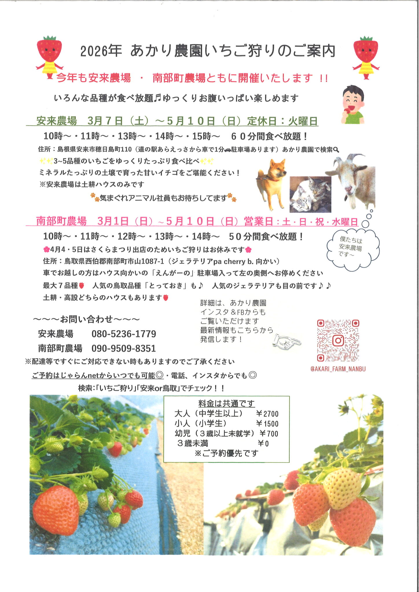 2026あかり農園いちご狩りのご案内 | 日本海新聞 NetNihonkai